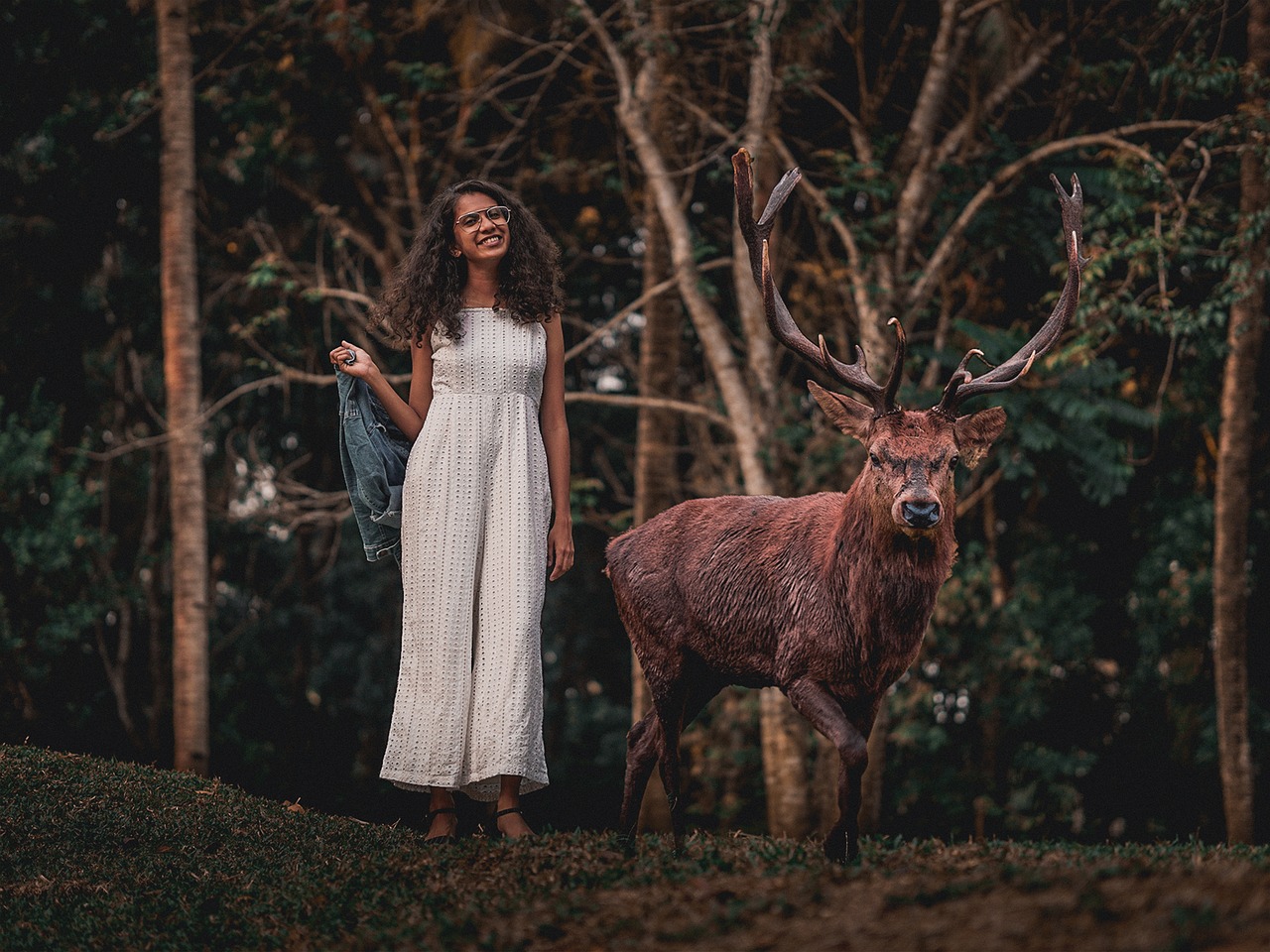 Woman Deer Wilderness - Free photo on Pixabay - Pixabay