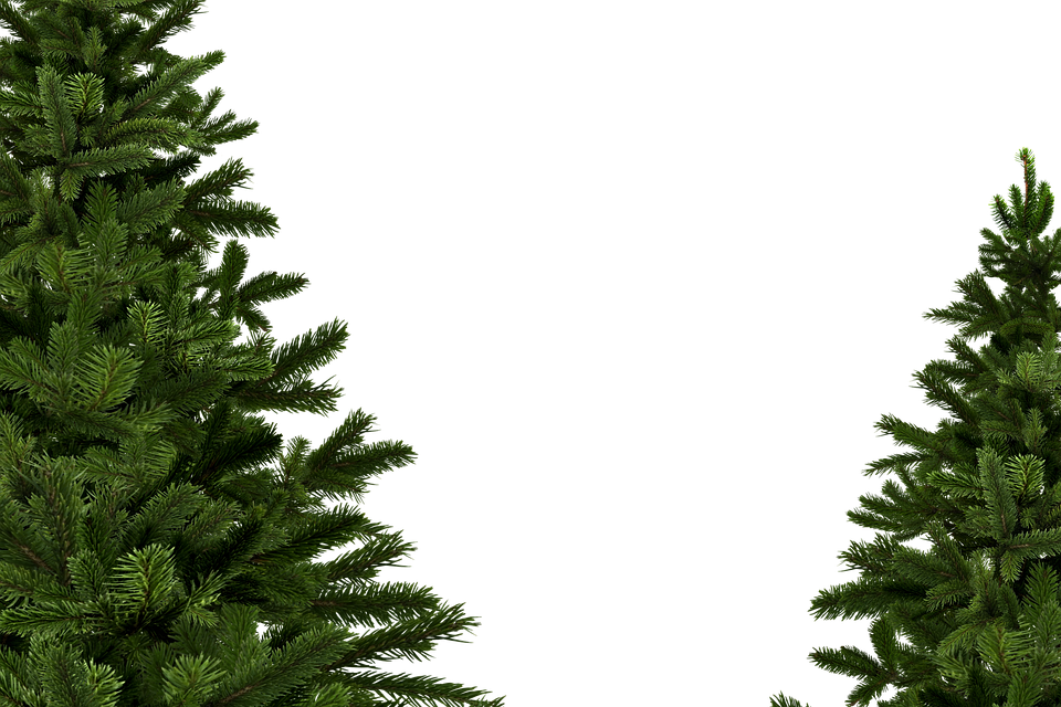Tannen Weihnachten Saum - Kostenloses Bild auf Pixabay
