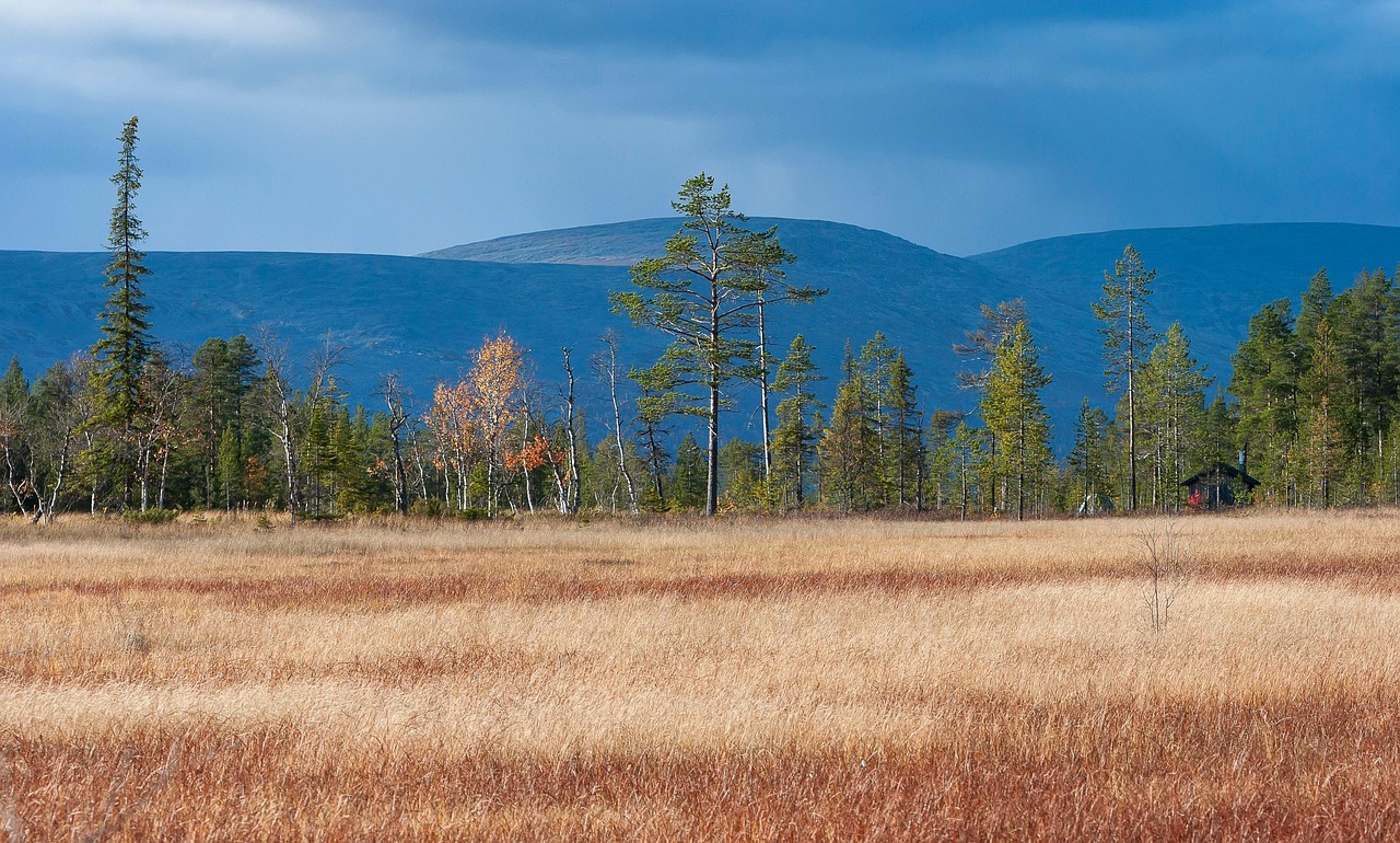 Finland Field Nature - Free photo on Pixabay