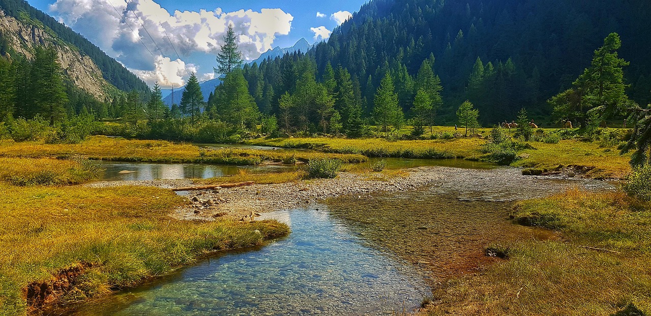 Valley Mountains Alps - Free photo on Pixabay