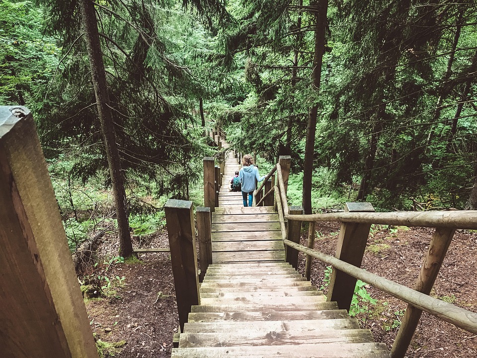Bridge Path Pathway - Free photo on Pixabay - Pixabay