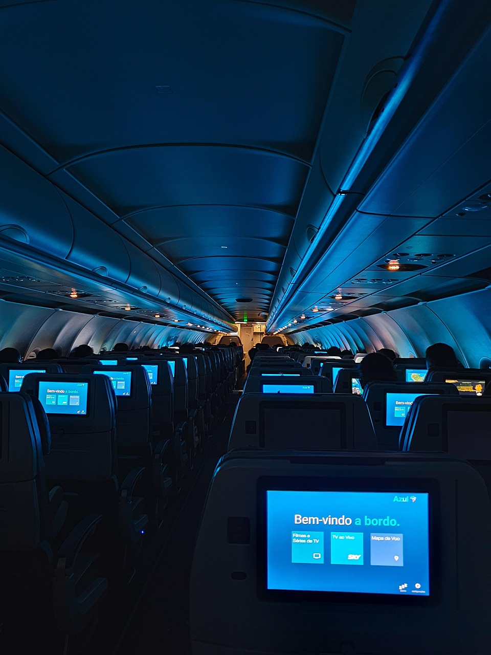Blue Airplane Avião - Foto gratuita no Pixabay - Pixabay