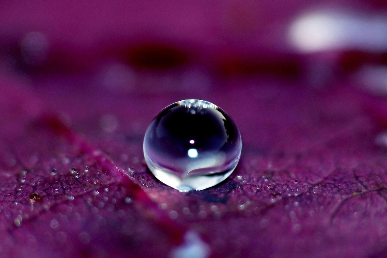 Dew Water Raindrop - Free photo on Pixabay - Pixabay