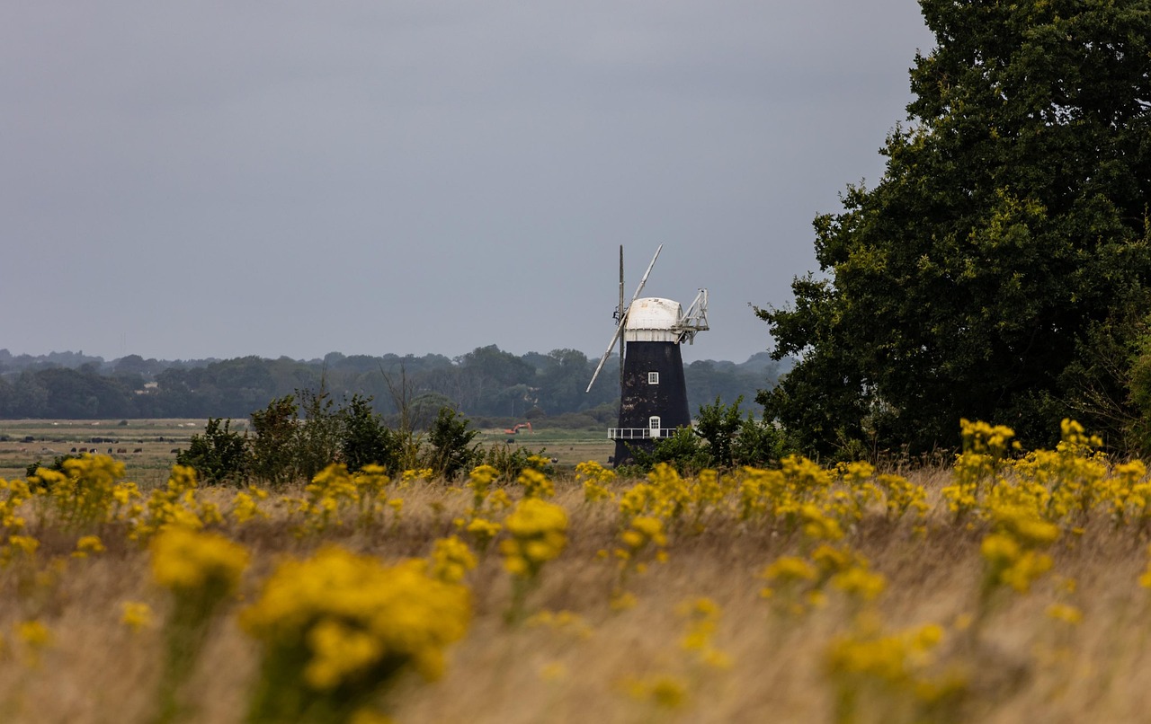 Windmill Meadow Rural - Free photo on Pixabay - Pixabay