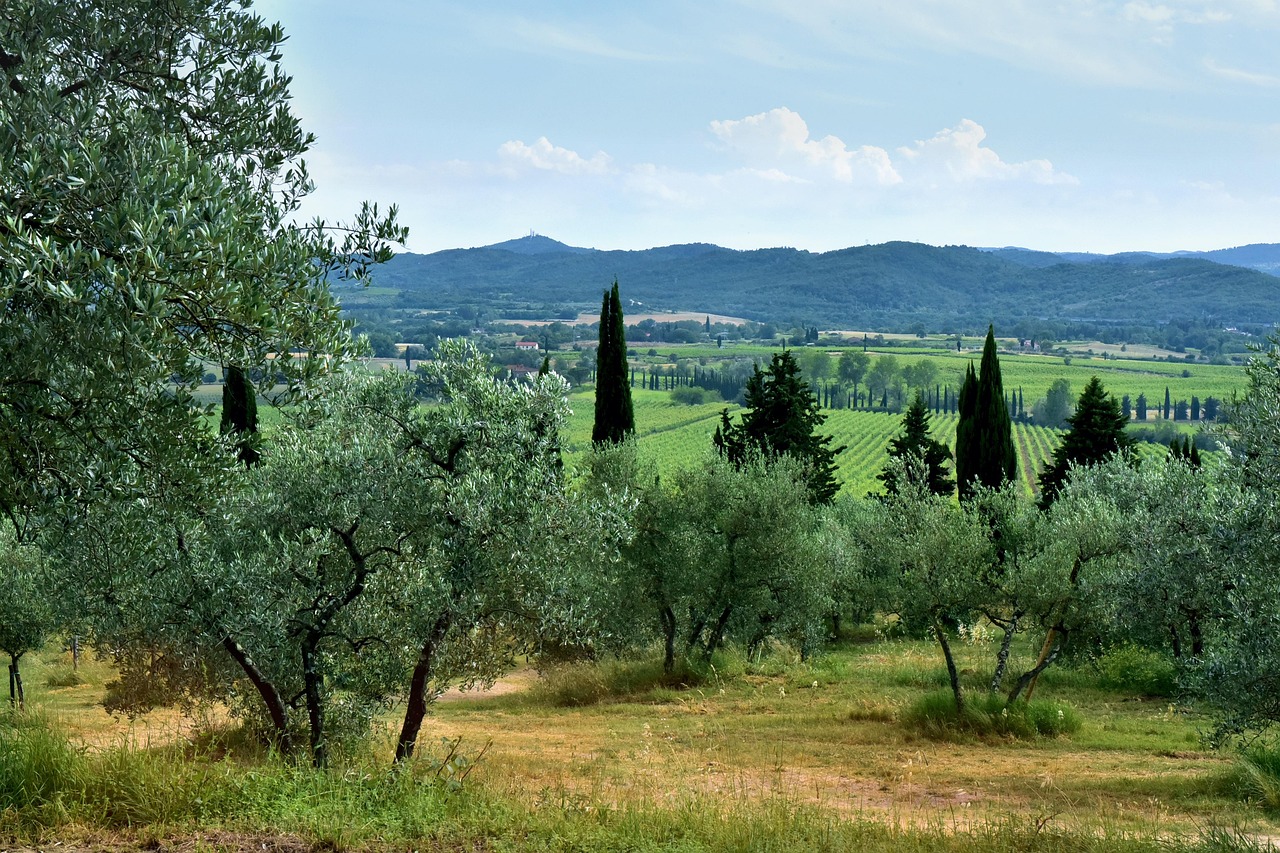 Fattoria Italia Paisaje - Foto gratis en Pixabay - Pixabay