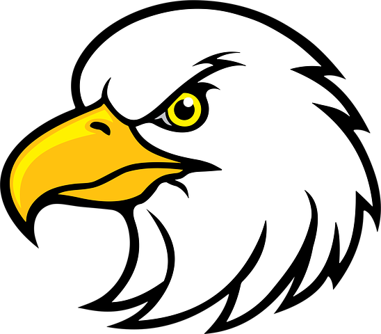 60+ Free Eagle Drawing & Eagle Illustrations - Pixabay