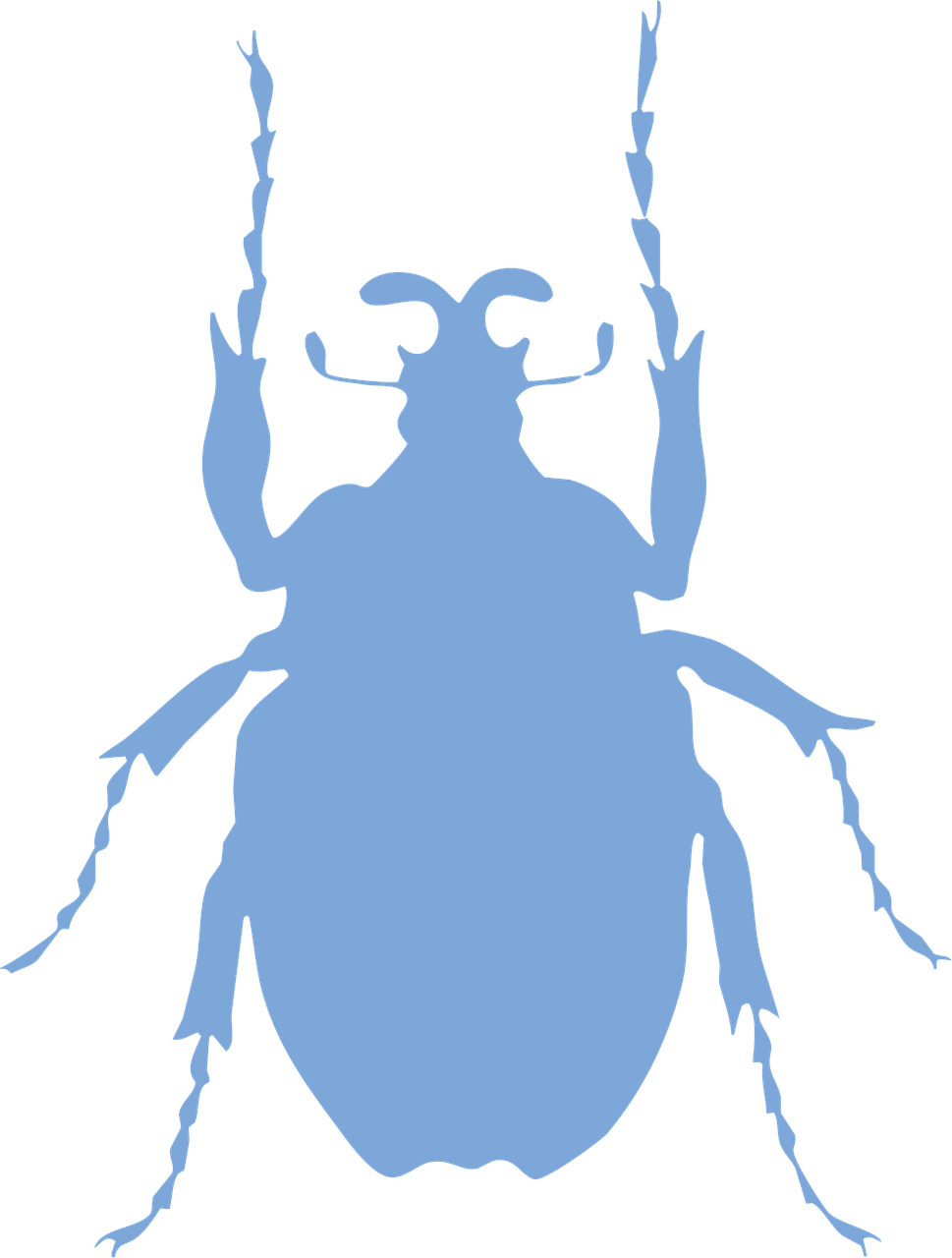 Download Beetle, Insect, Bug. Royalty-Free Vector Graphic - Pixabay