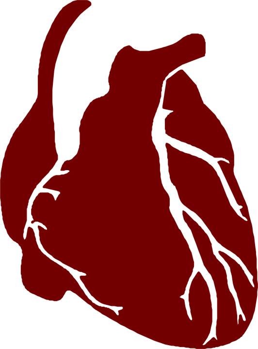Download Heart, Icon, Muscle. Royalty-Free Vector Graphic - Pixabay