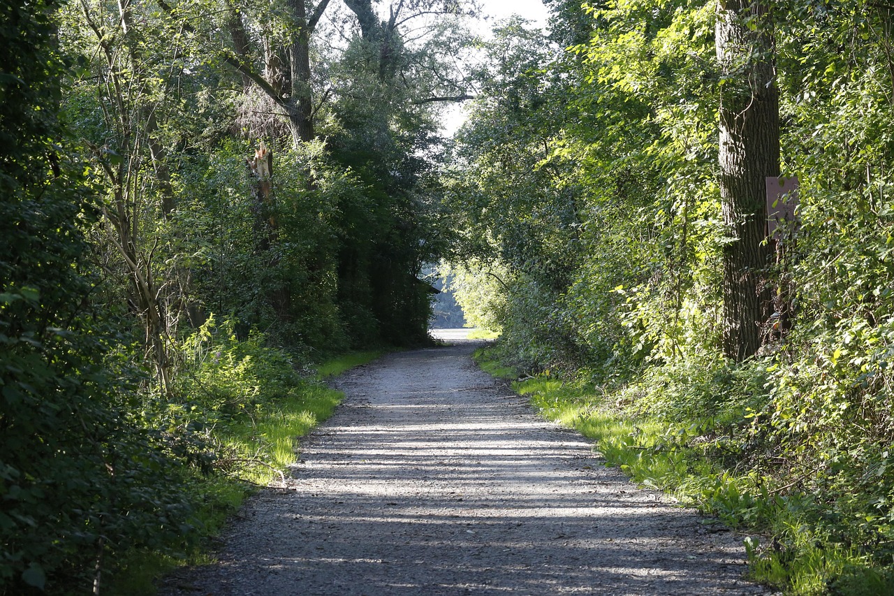 Chemin Piste Route Des - Photo gratuite sur Pixabay - Pixabay
