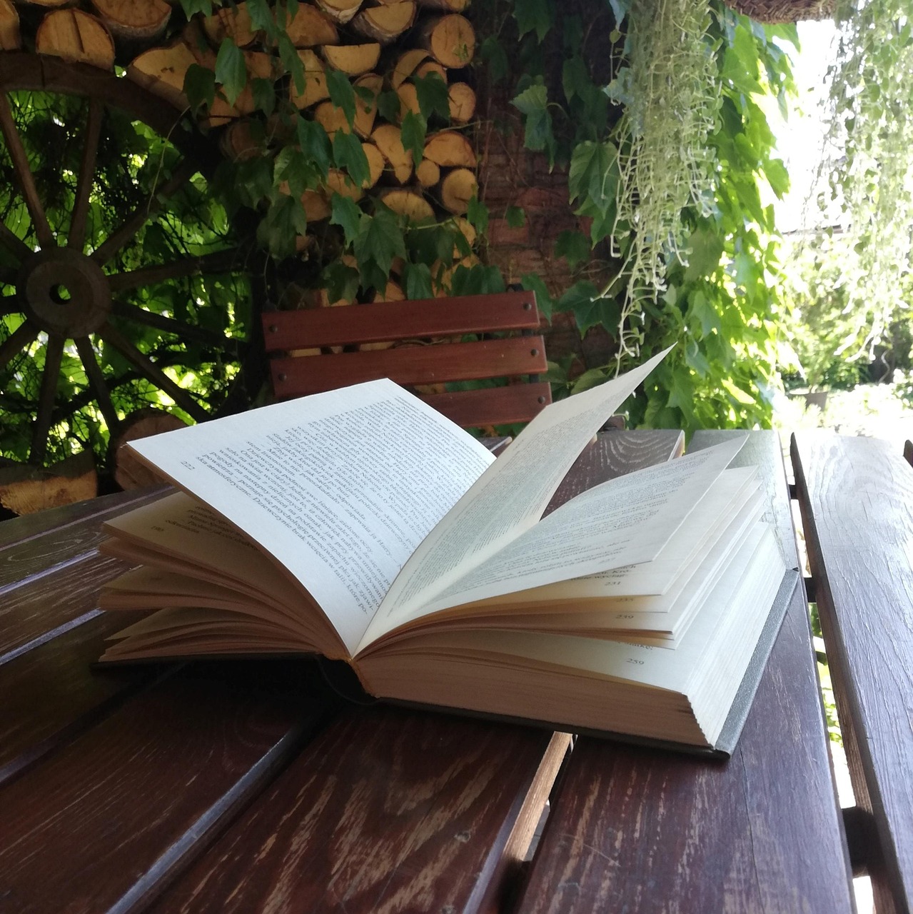 Biblioteca Leyendo Libros - Foto gratis en Pixabay - Pixabay