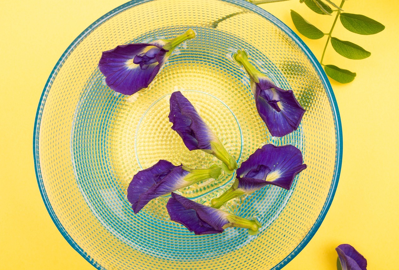Butterfly Pea Flowers Petals - Free photo on Pixabay - Pixabay