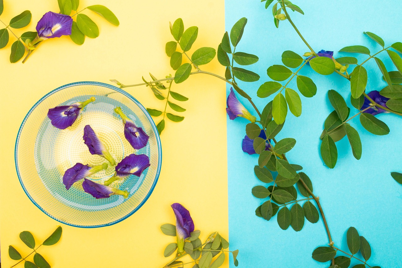 Butterfly Pea Flowers Background - Free photo on Pixabay - Pixabay