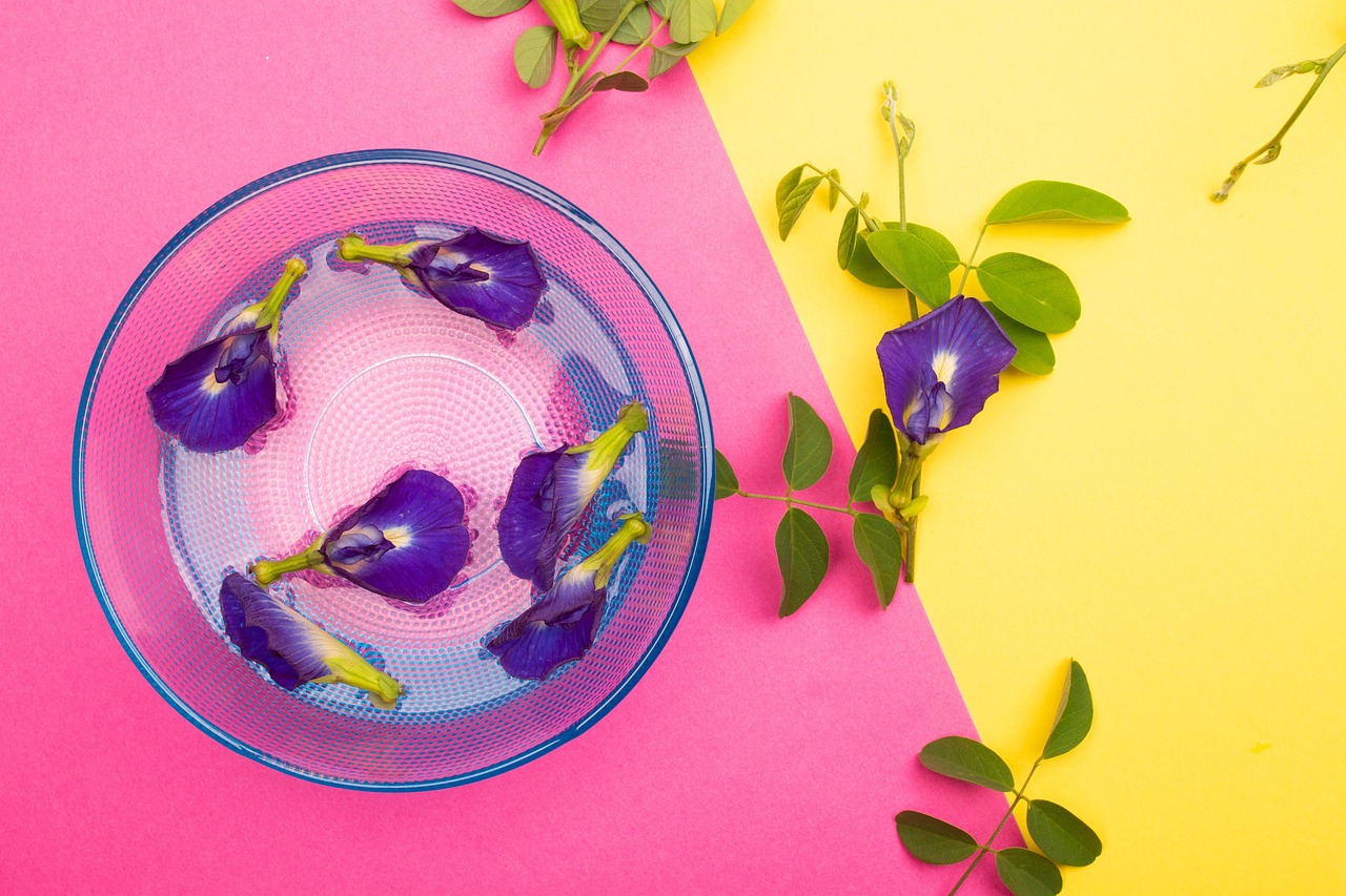 Butterfly Pea Flowers Petals - Free photo on Pixabay - Pixabay