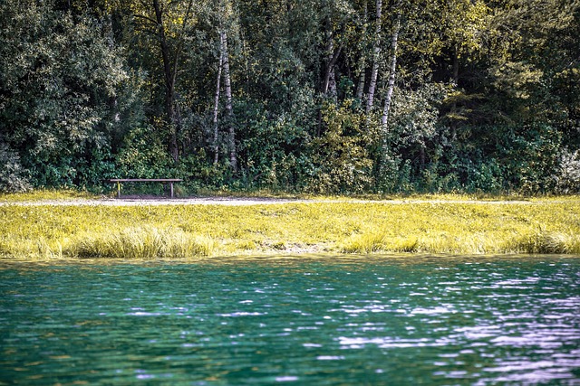 Lac Nature En Plein Air - Photo gratuite sur Pixabay - Pixabay