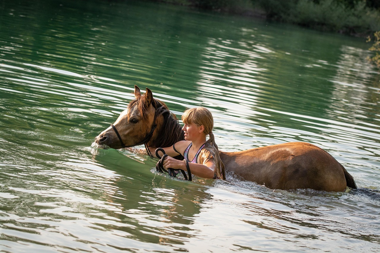 700+ kostenlose Frau Mit Pferd und Pferd-Bilder - Pixabay