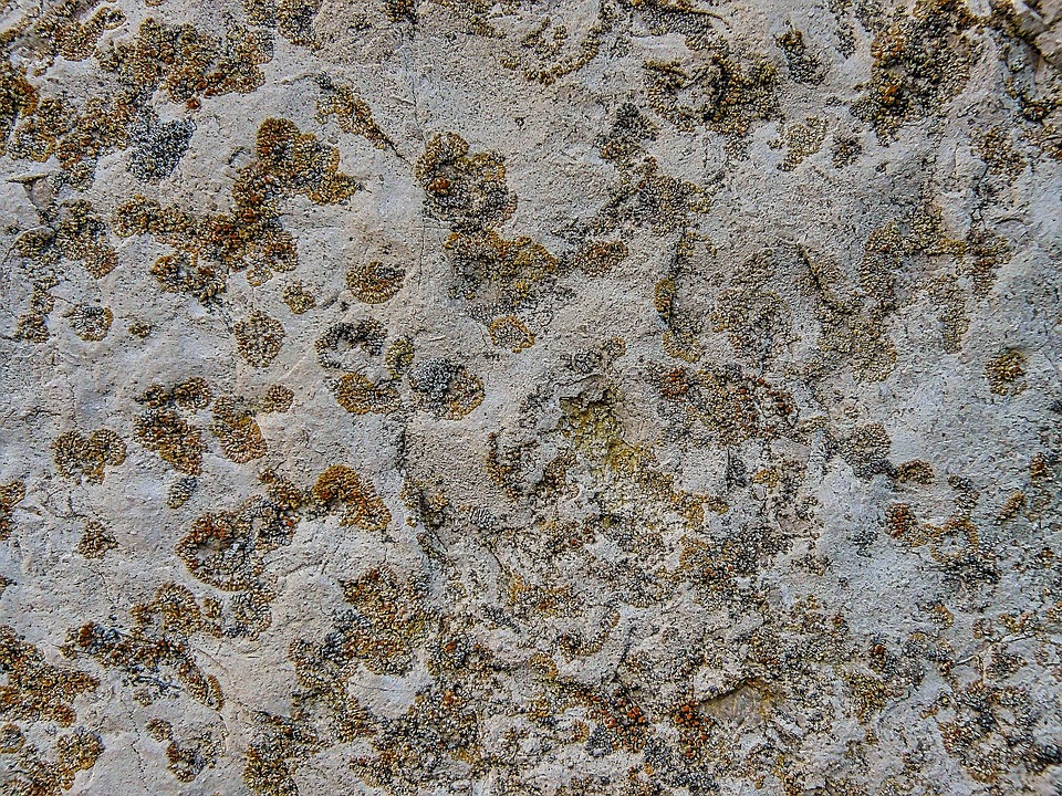 Texture Roche Pierre - Free photo on Pixabay - Pixabay