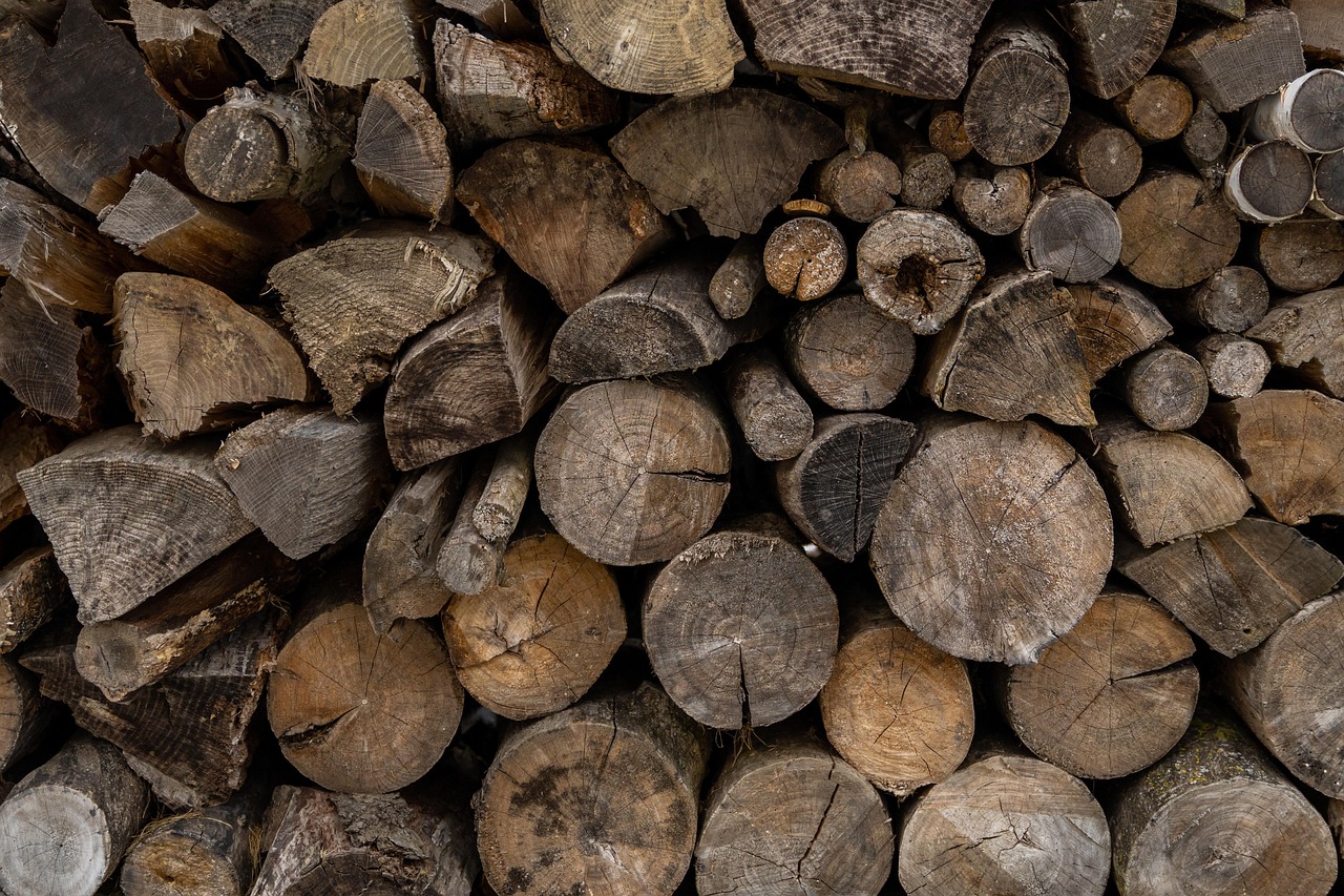 Brandhout Hout Boomstammen - Gratis foto op Pixabay - Pixabay
