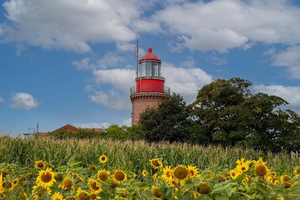 Lighthouse Nature Sunflowers - Free photo on Pixabay
