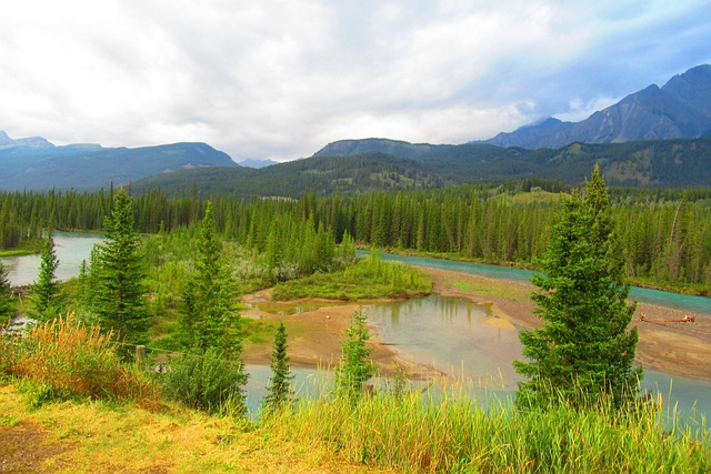 Río Paisaje Alberta - Foto gratis en Pixabay - Pixabay
