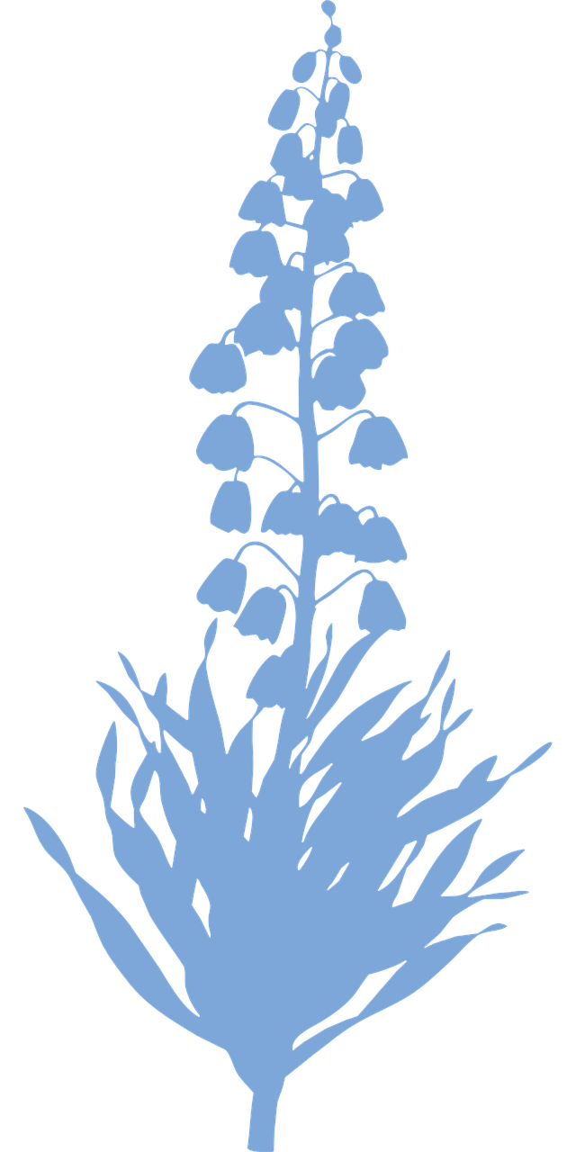 Bunga Bakung Lembah Lonceng Biru - Gambar vektor gratis di Pixabay ...