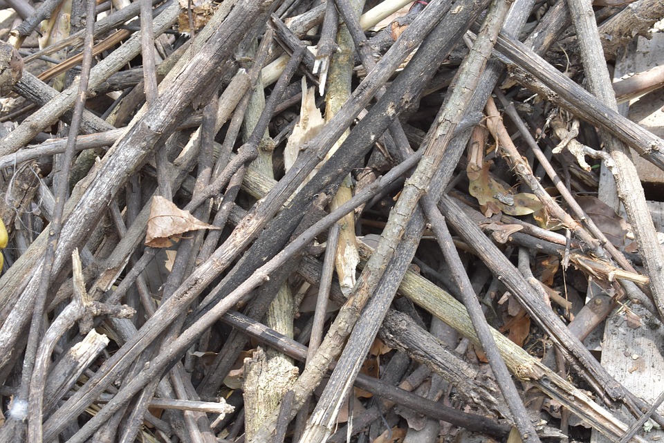 Wood Branches Rods - Free photo on Pixabay - Pixabay
