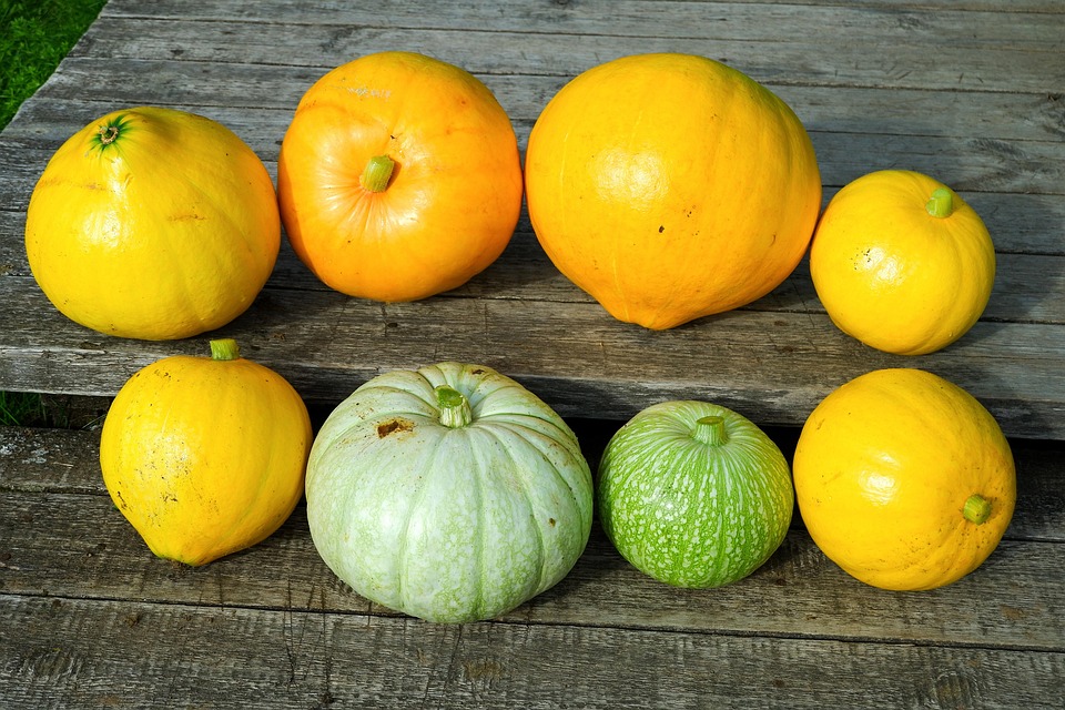 Citrouilles Écraser Des Légumes - Photo gratuite sur Pixabay - Pixabay