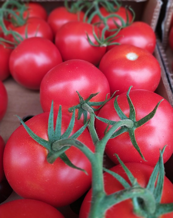 Tomatoes Harvest Healthy - Free photo on Pixabay