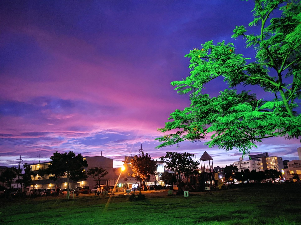 Dusk Purple Evening Dark Park At - Free photo on Pixabay - Pixabay