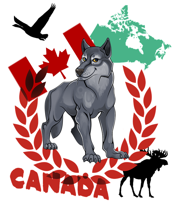 Download Wolf Canada Elk Royalty-Free Stock Illustration Image - Pixabay