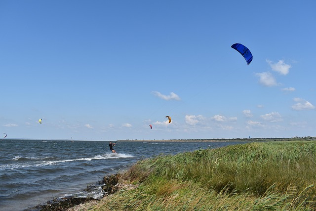 Sea Beach Estuary - Free photo on Pixabay
