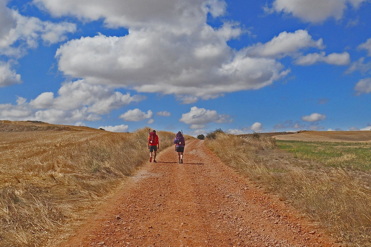 Amigos Aventura Natureza - Foto gratuita no Pixabay - Pixabay