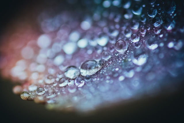 L'Eau Goutte De Rosée Macro - Photo gratuite sur Pixabay - Pixabay