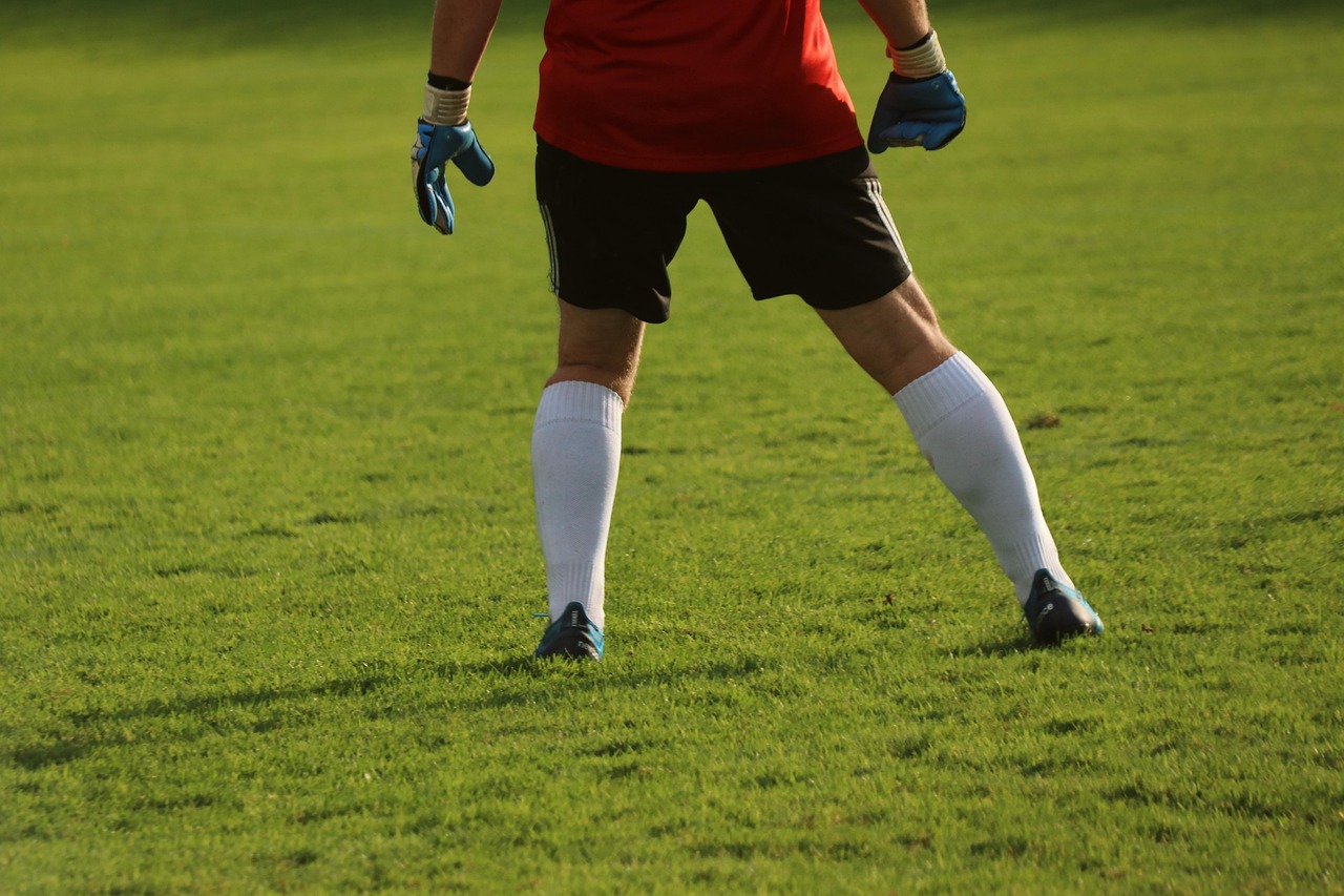 500+ Free Ronaldo Footballer & Football Images - Pixabay