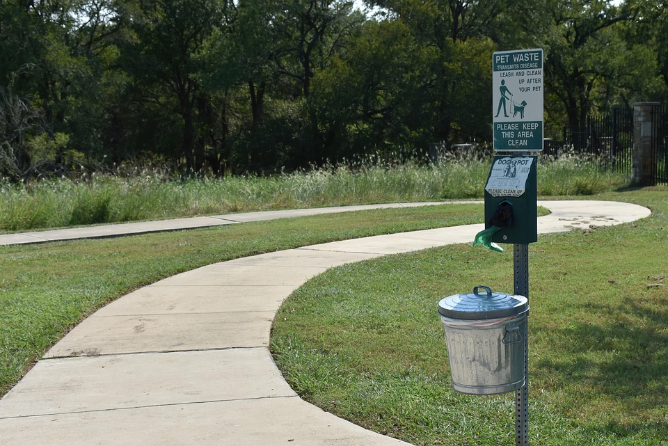 Path Park Outdoors Pet - Free photo on Pixabay - Pixabay