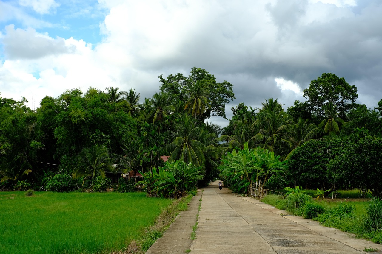 Langit Rumput Lapangan - Foto gratis di Pixabay - Pixabay Langit Rumput Lapangan - Foto gratis di Pixabay - Pixabay