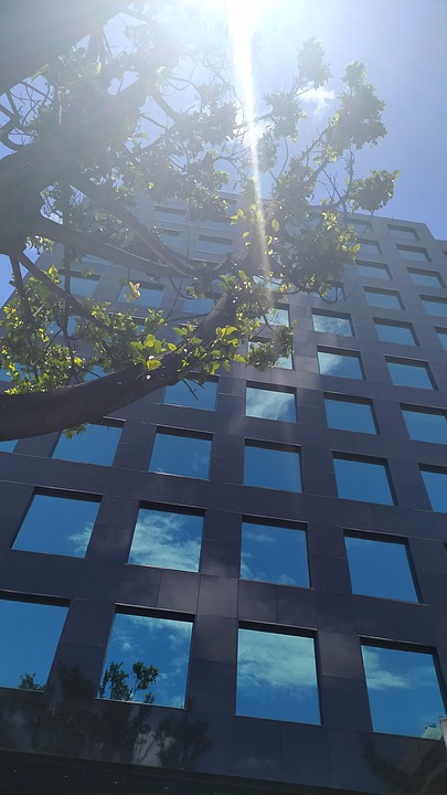 Bogota Die Architektur Baum - Kostenloses Foto auf Pixabay - Pixabay