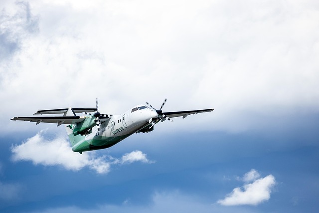 Flugzeug Flug Luftfahrt - Kostenloses Foto auf Pixabay - Pixabay