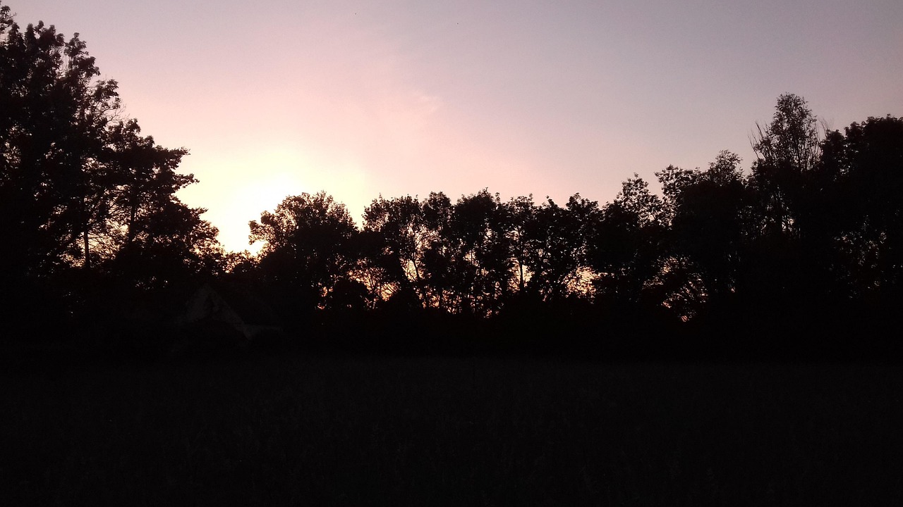 Trees Dusk Dawn - Free photo on Pixabay - Pixabay