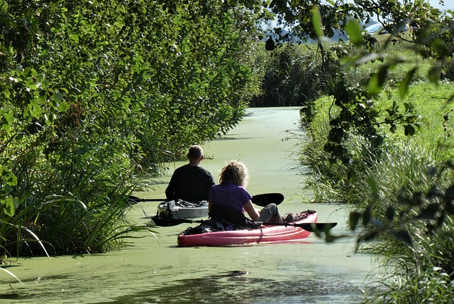 Piragüismo Remo Canoa Paseos En - Foto gratis en Pixabay - Pixabay