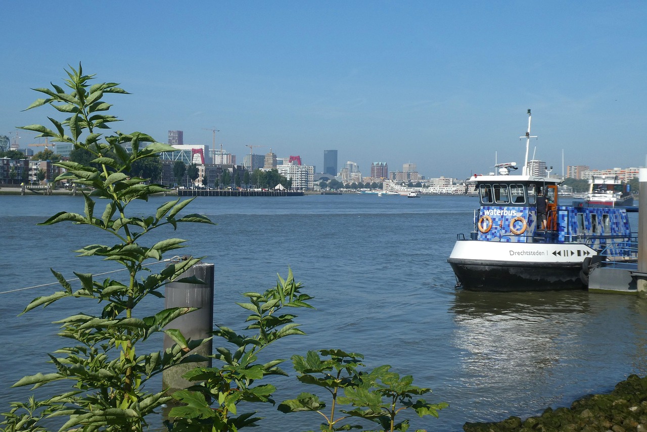 Plus de 3 000 images de Rotterdam Bus et de Rotterdam - Pixabay