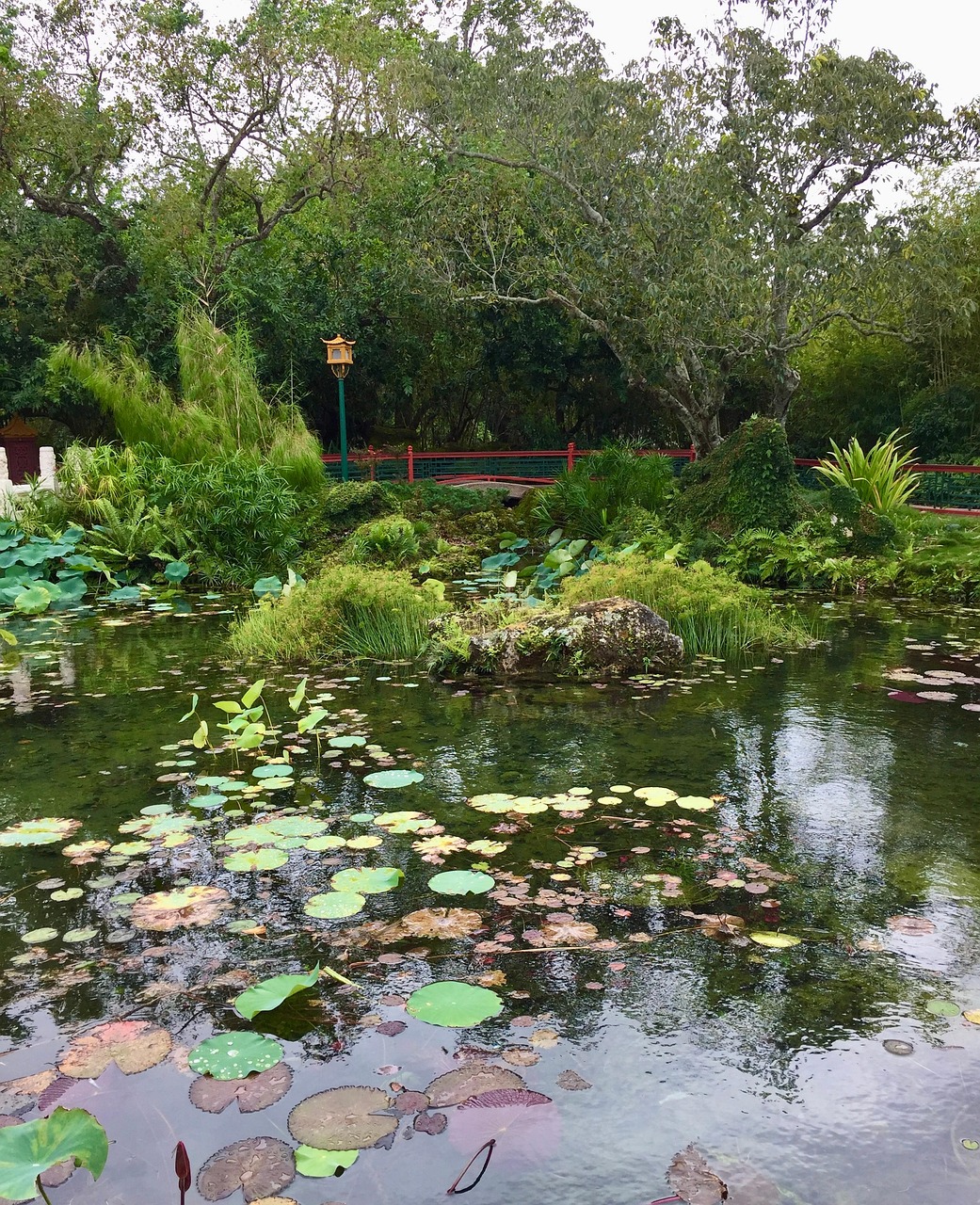 Lily Pads Bridge Pond - Free photo on Pixabay - Pixabay