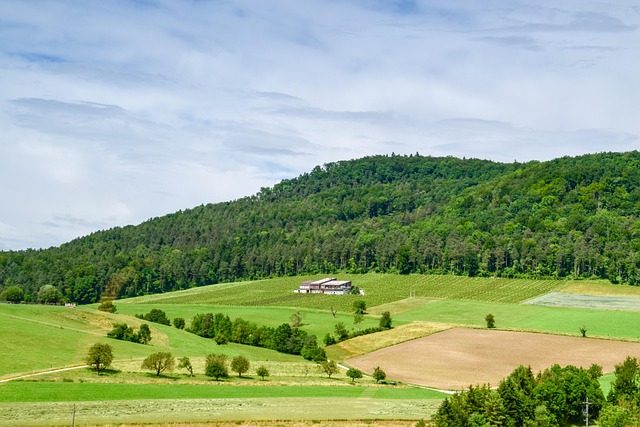 Luonne Maaseutu Maaseudun - Ilmainen valokuva Pixabayssa - Pixabay
