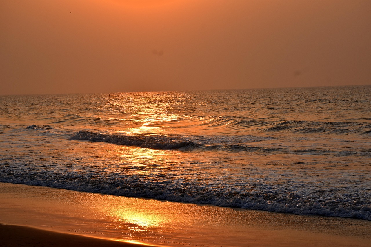 Ankitapanku Pixabay Ankitapanku Pixabay