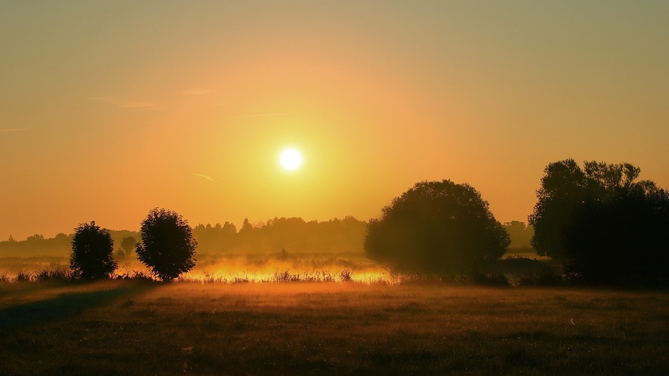 Morning Mood Fog Sunrise - Free photo on Pixabay - Pixabay