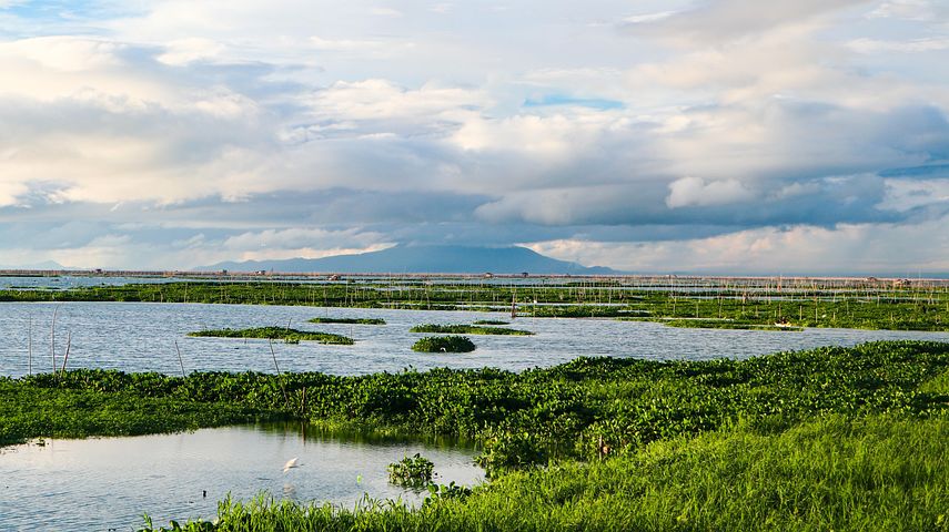 90+ Free Manila & Philippines Images