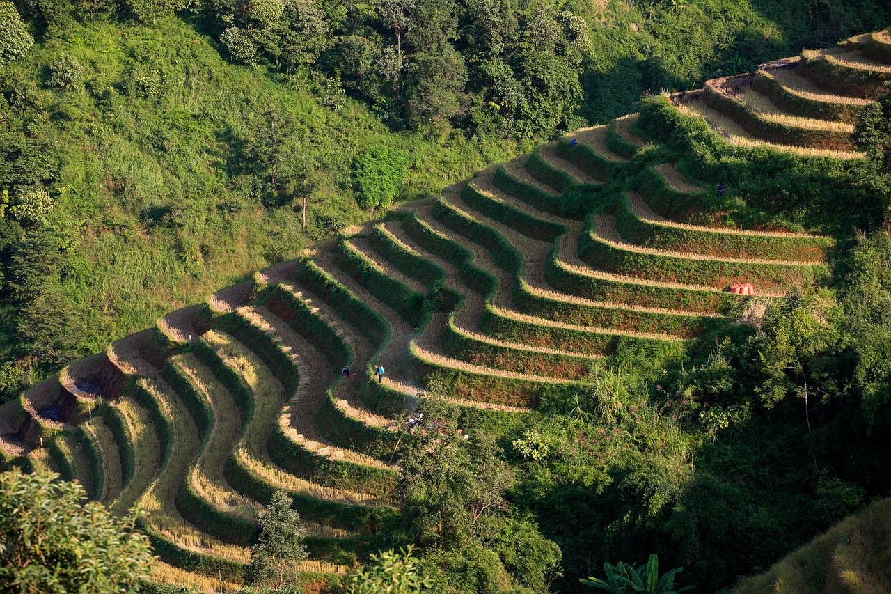 Terraces Rice Mu Cang Chai - Free photo on Pixabay - Pixabay