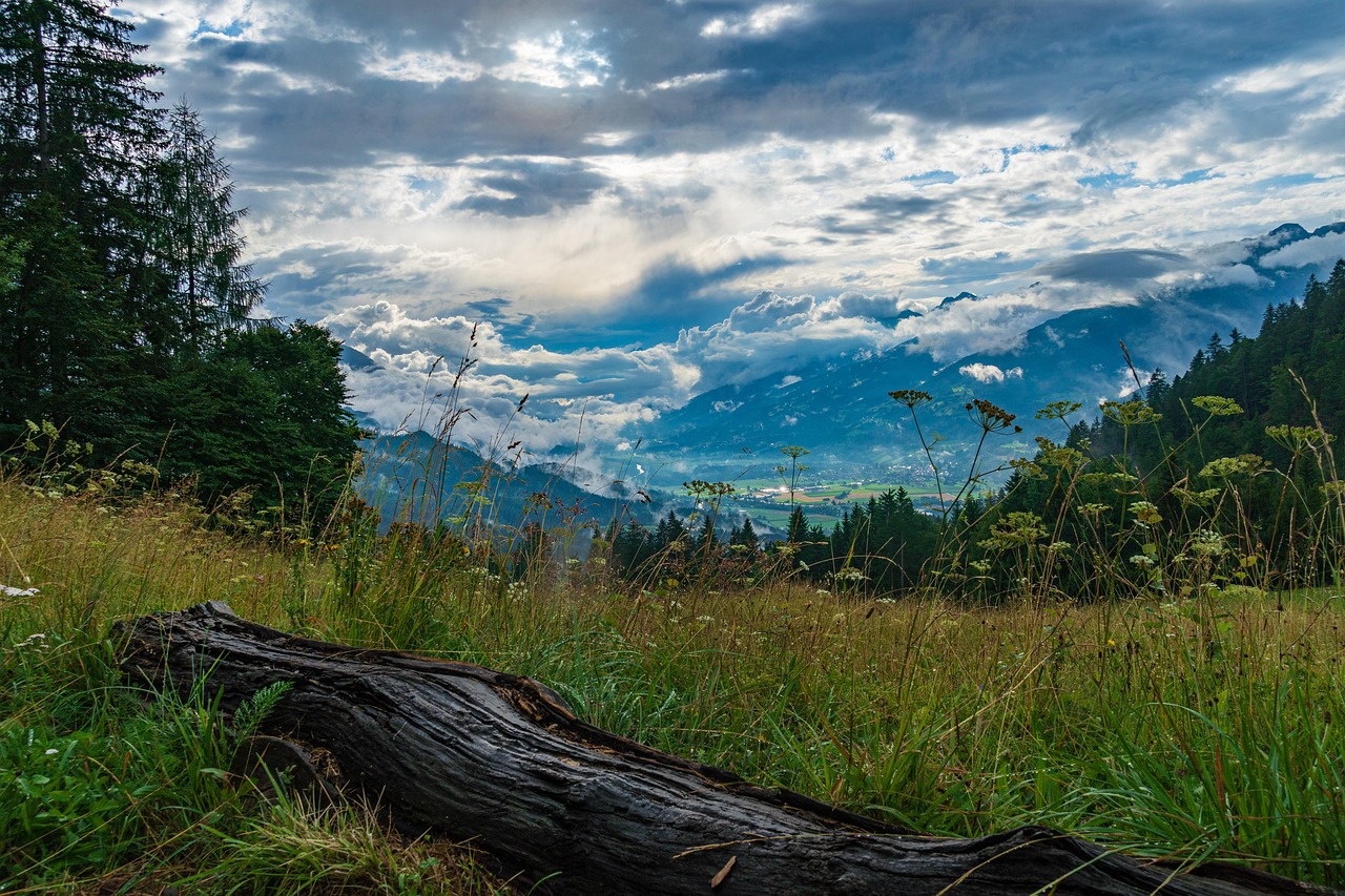 Wood Cloudy Sky - Free photo on Pixabay