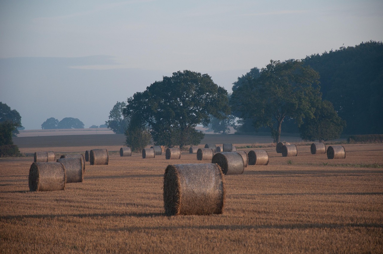 Heu Feld Landschaft - Kostenloses Foto auf Pixabay - Pixabay