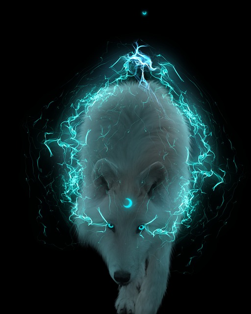Lobo Magia Luces - Foto gratis en Pixabay - Pixabay