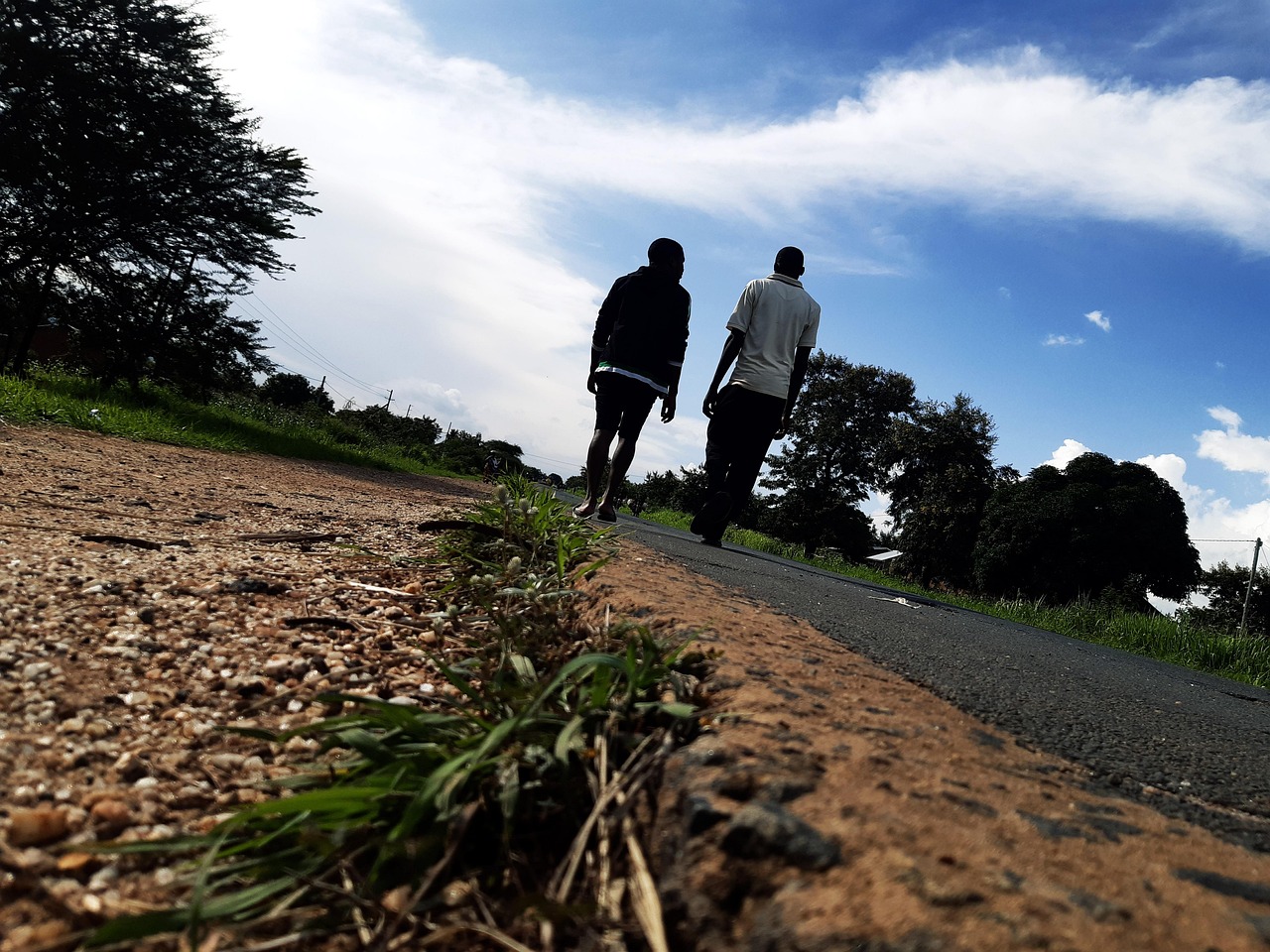 Walking Nature Road - Free photo on Pixabay - Pixabay